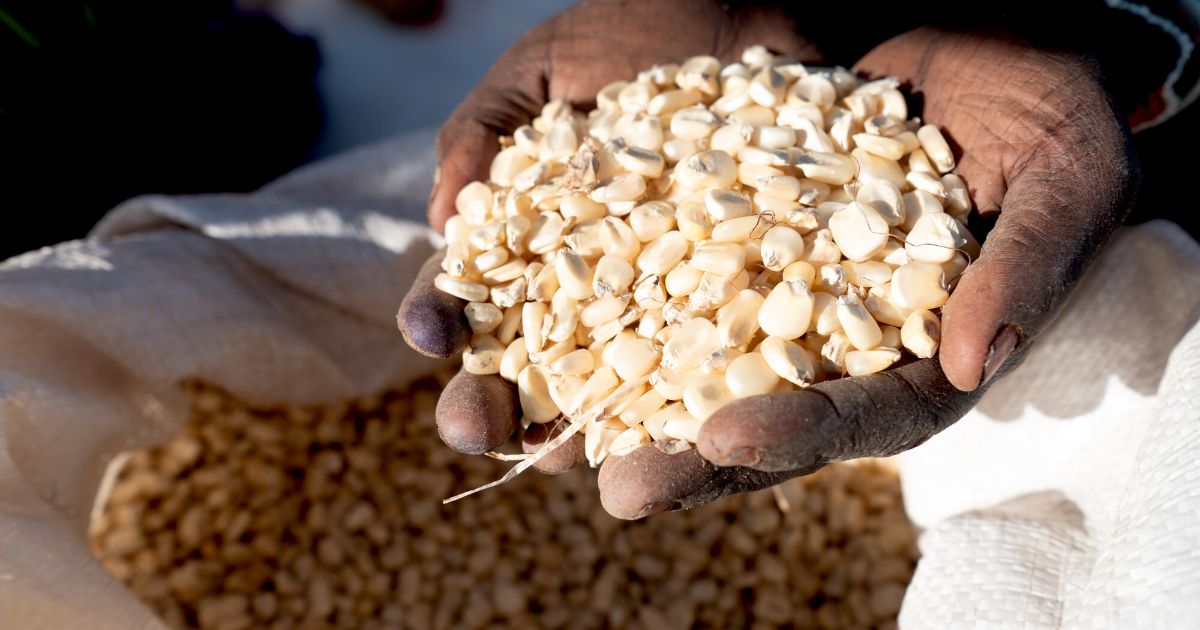 USAID funding cut is a crisis we cannot ignore | startpage